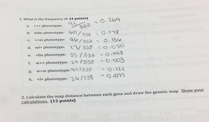 Solved What is the frequency of: +++phenotype: wfm | Chegg.com