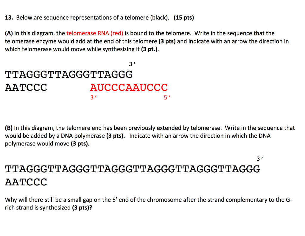 Solved Below are sequence representations of a telomere | Chegg.com
