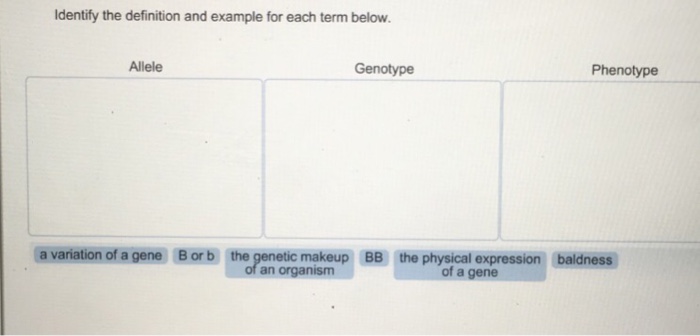 Solved Identify the definition and example for each term | Chegg.com