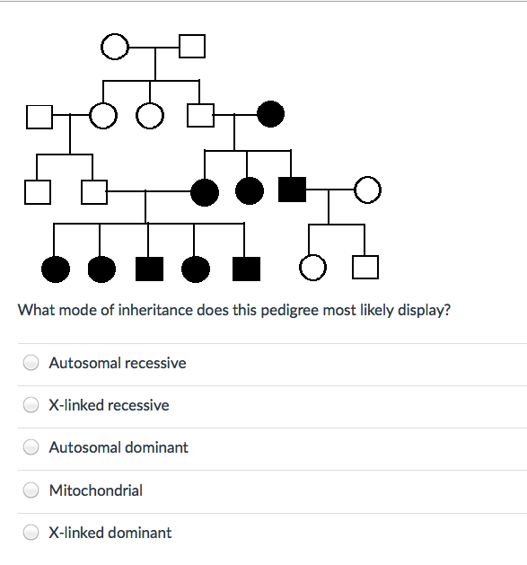 Autosomal Dominant Vs X Linked Dominant Pedigree