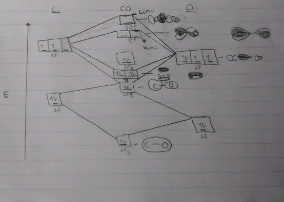 Solved From the Mo diagram of CO (shown below) which | Chegg.com