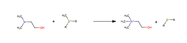 Solved Get help answeing Molecular Drawing question Choline | Chegg.com