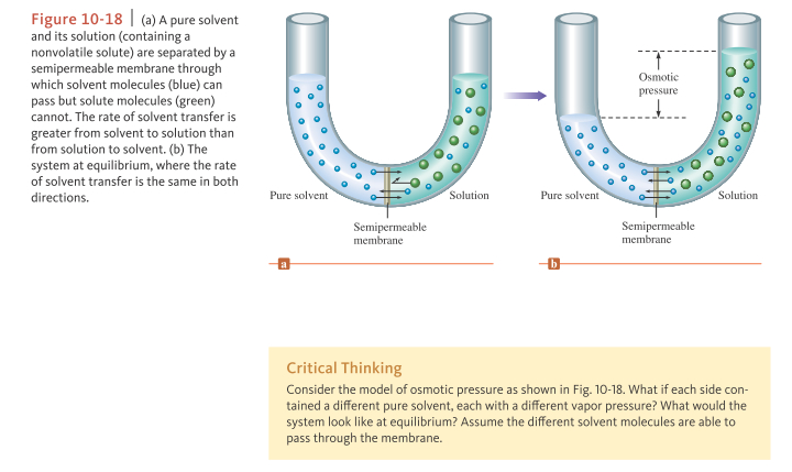 Solved A pure solvent and its solution (containing a | Chegg.com