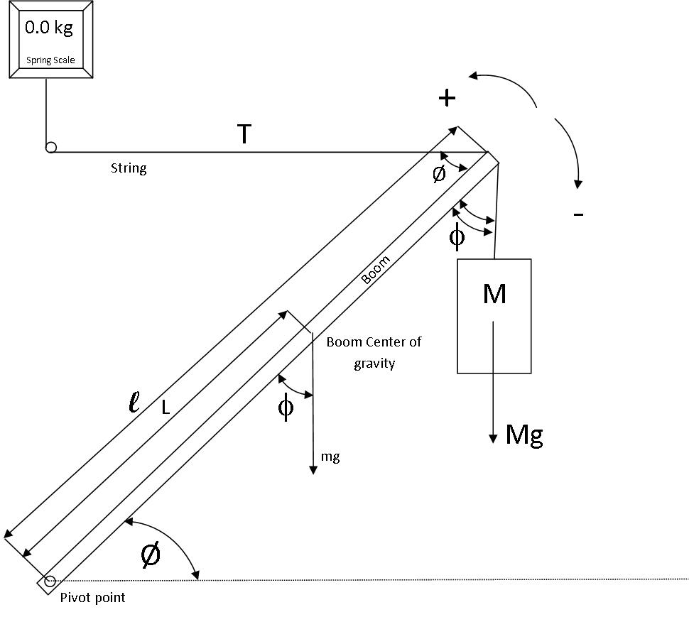 Solved The torques acting on the crane boom can be computed | Chegg.com