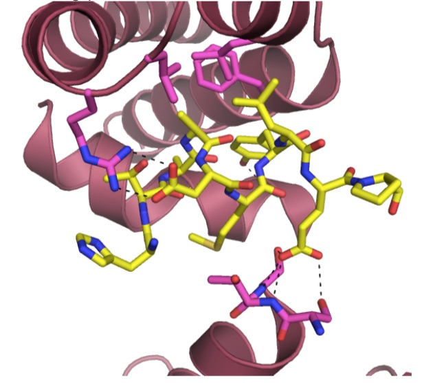 Solved 3) The figure below shows the structure of a complex | Chegg.com