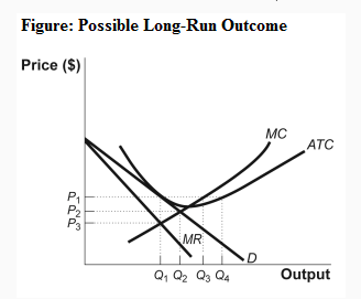 a) (Figure: Possible Long-Run Outcome) In the figure | Chegg.com