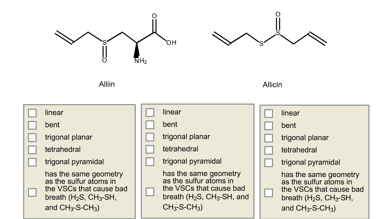 Solved garlic contains the molecule allicin when garlic is | Chegg.com