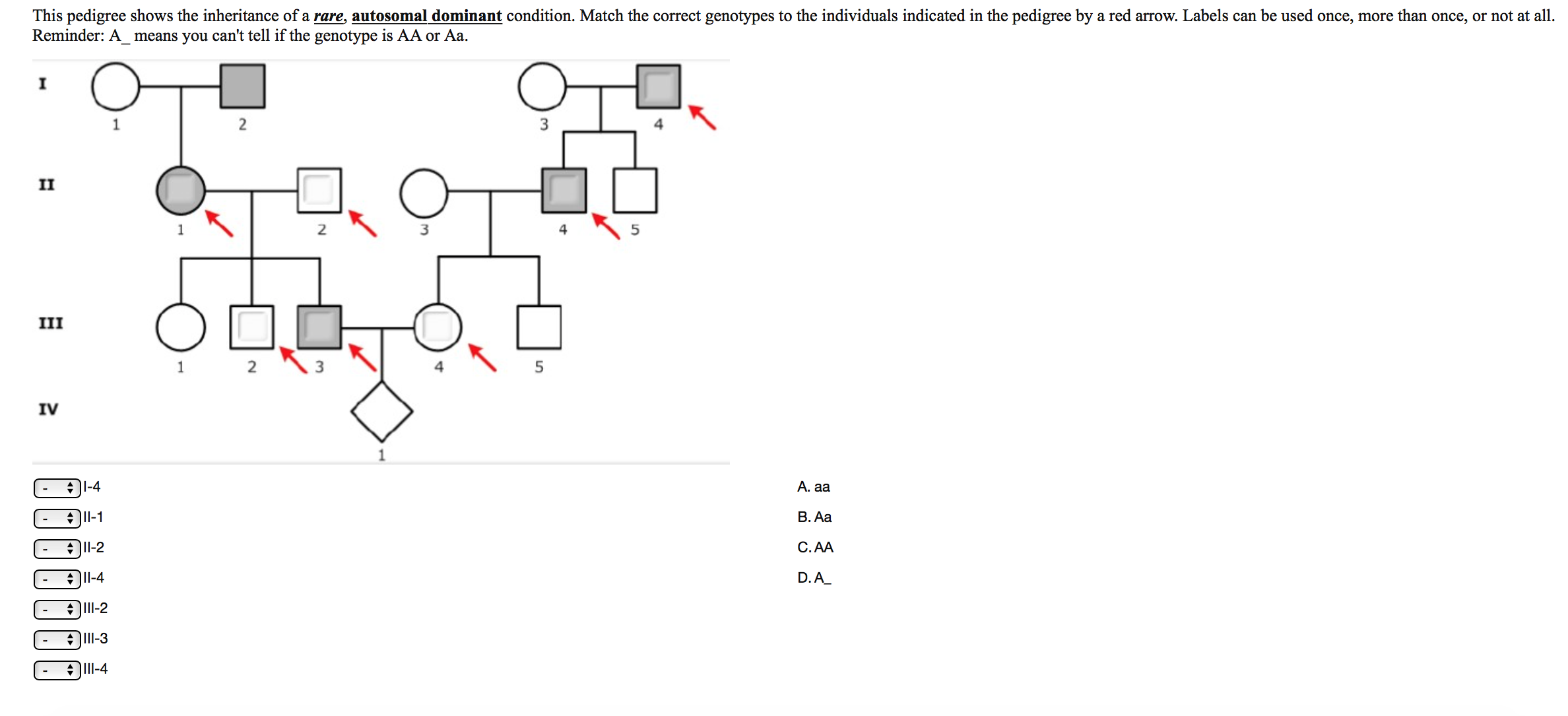 Solved This pedigree shows the inheritance of a rare, | Chegg.com