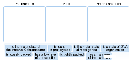 Solved Classify each feature as describing | Chegg.com