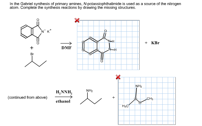 Solved In the Gabriel synthesis of primary amines. N - | Chegg.com