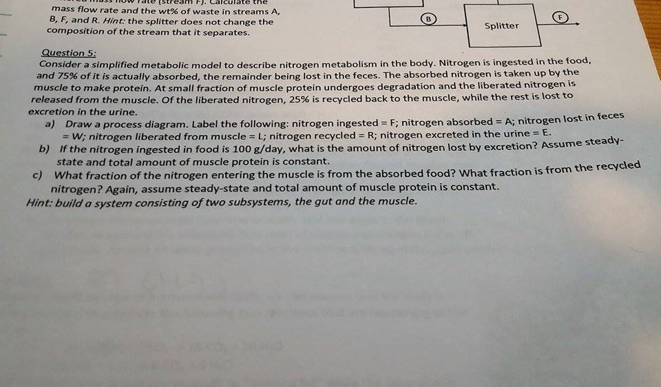 Solved Consider a simplified metabolic model to describe | Chegg.com