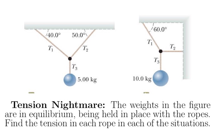 Solved The weights in the figure are in equilibrium, being | Chegg.com