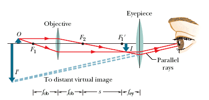 Solved In a microscope of the type shown in the figure, the | Chegg.com