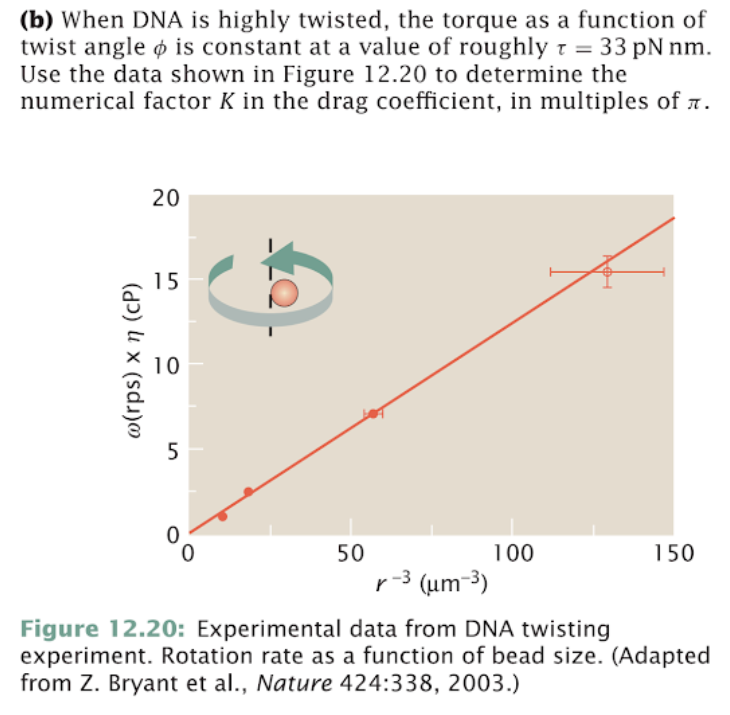 12.5 DNA twist experiment A molecule of DNA (length | Chegg.com