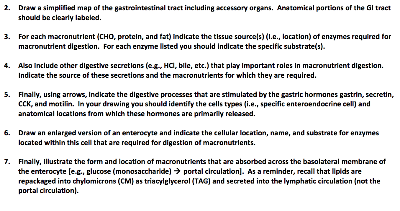 Solved 2. Draw a simplified map of the gastrointestinal | Chegg.com