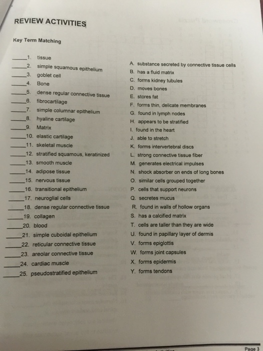 Solved Tissue simple squamous epithelium goblet cue Bone | Chegg.com