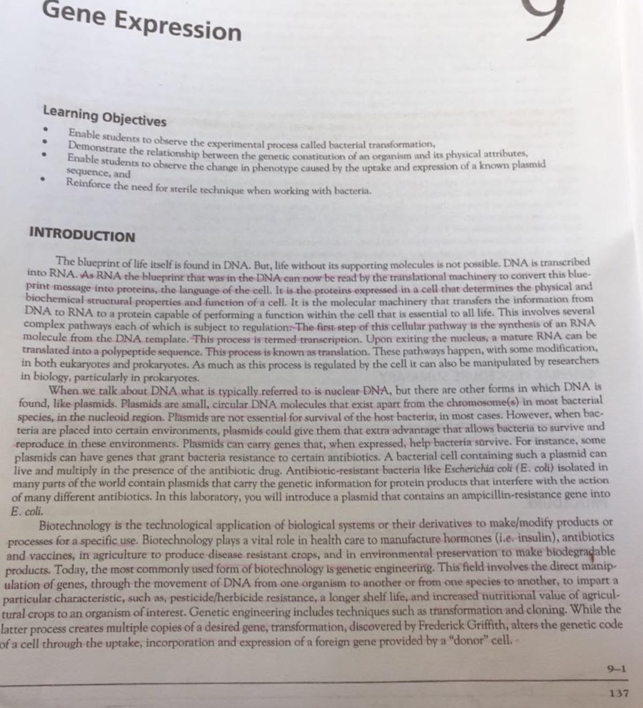 Write A Scientific Lab Report Based On The Info Chegg write-a-scientific-lab-report-based-on-the-info-chegg