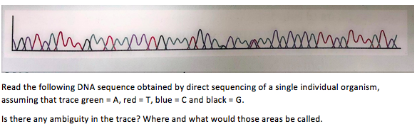 Solved Read the following DNA sequence obtained by direct | Chegg.com