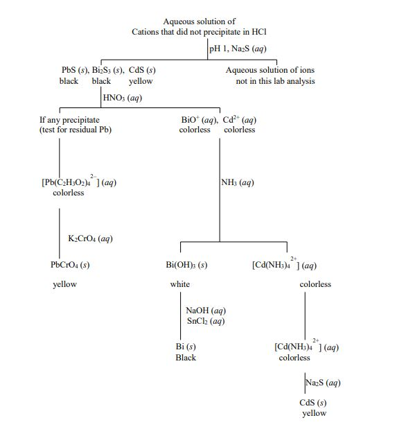 Solved Aqueous solution of Cations that did not precipitate | Chegg.com