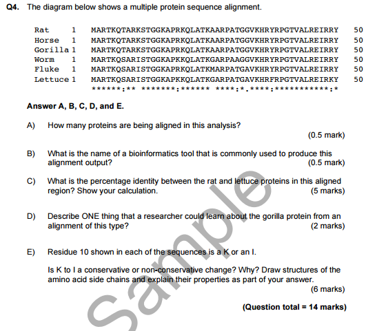 Solved Protein Sequence Alignment Q4) The diagram below | Chegg.com