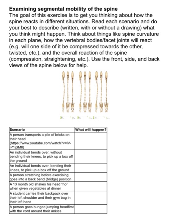 Solved Examining segmental mobility of the spine The goal | Chegg.com