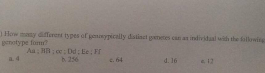 Solved How many different types of genotypically distinct | Chegg.com