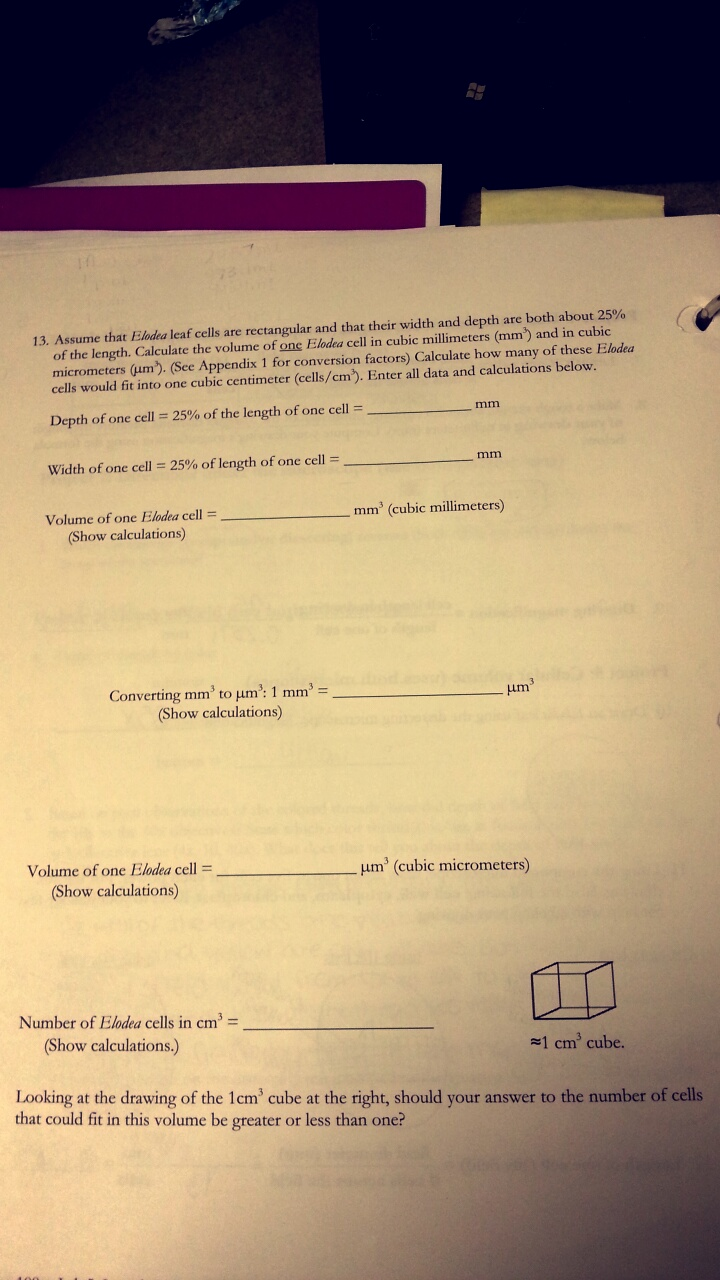 Solved Assume that Elodea leaf cells are rectangular and | Chegg.com