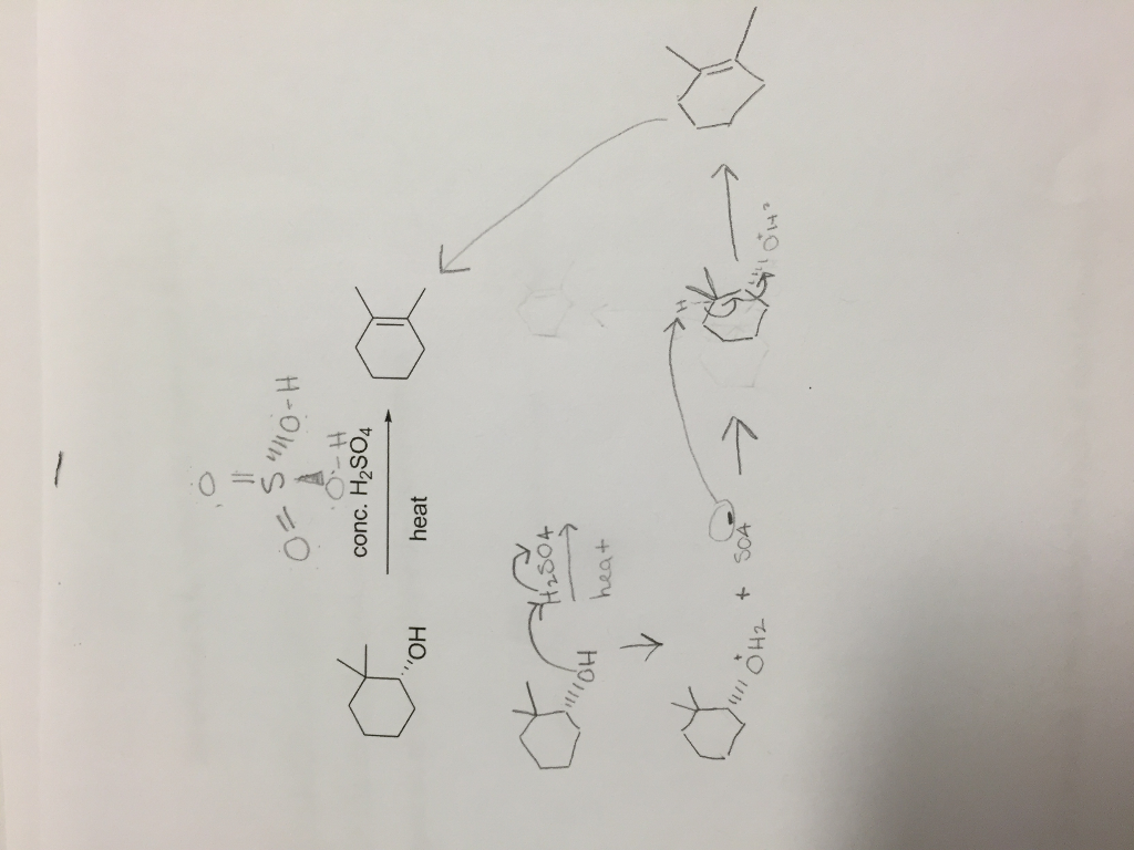 Solved Is this the correct mechanism for this reaction? I | Chegg.com
