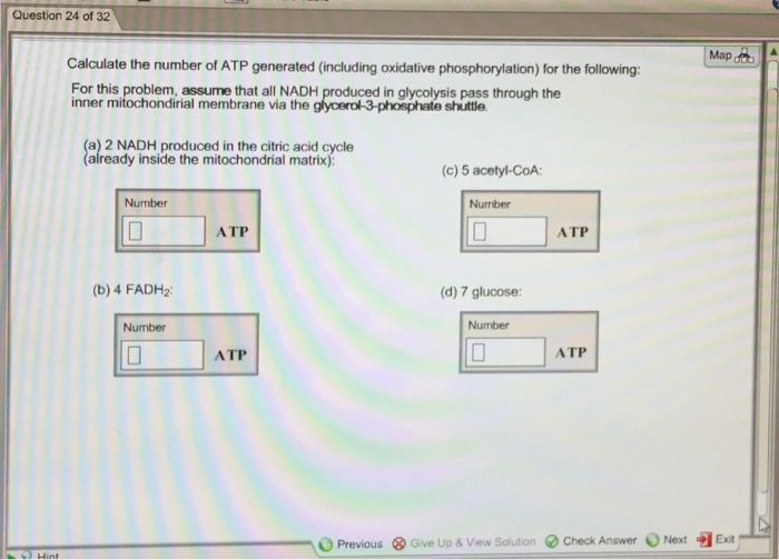 Solved Calculate the number of ATP generated ( including | Chegg.com