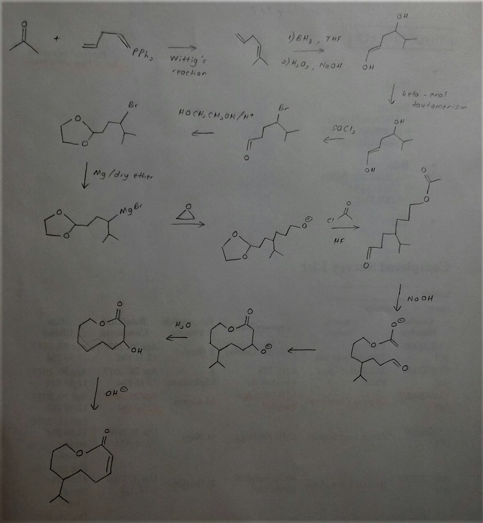 Solved I need an expert to review reaction mechanisms below | Chegg.com