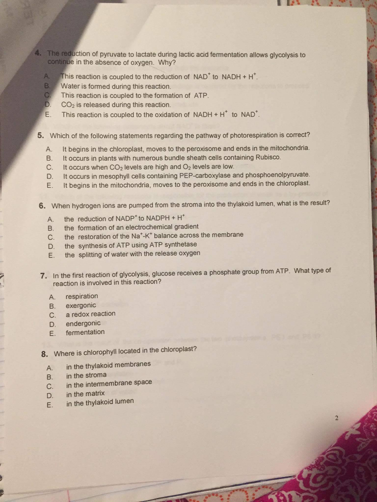 Pep Exam Questions And Answers