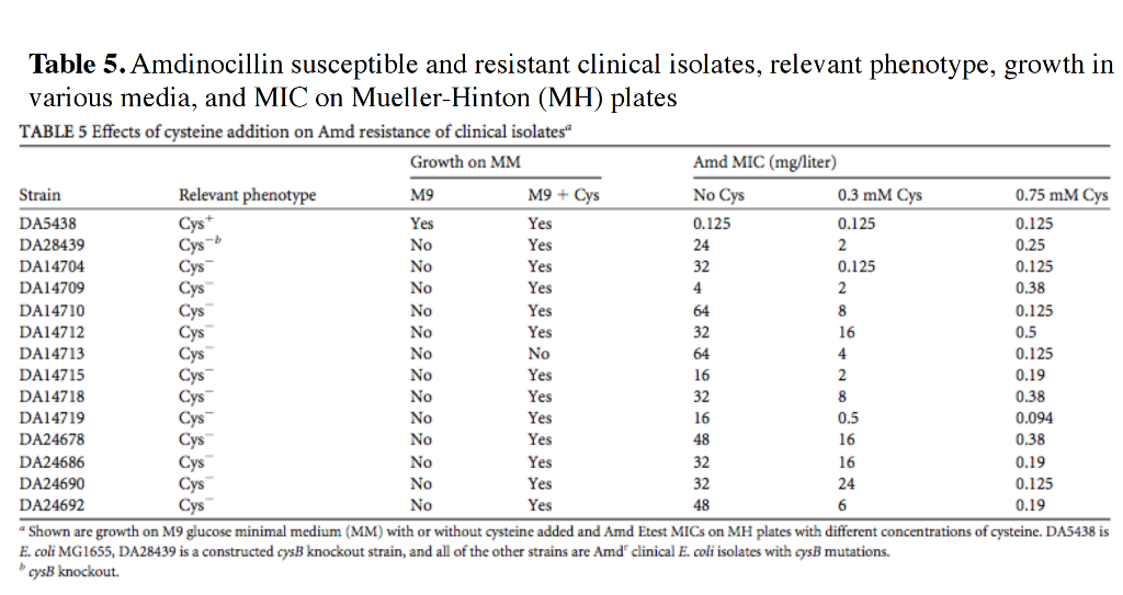 Solved Based on the growth of these amdinocillin | Chegg.com