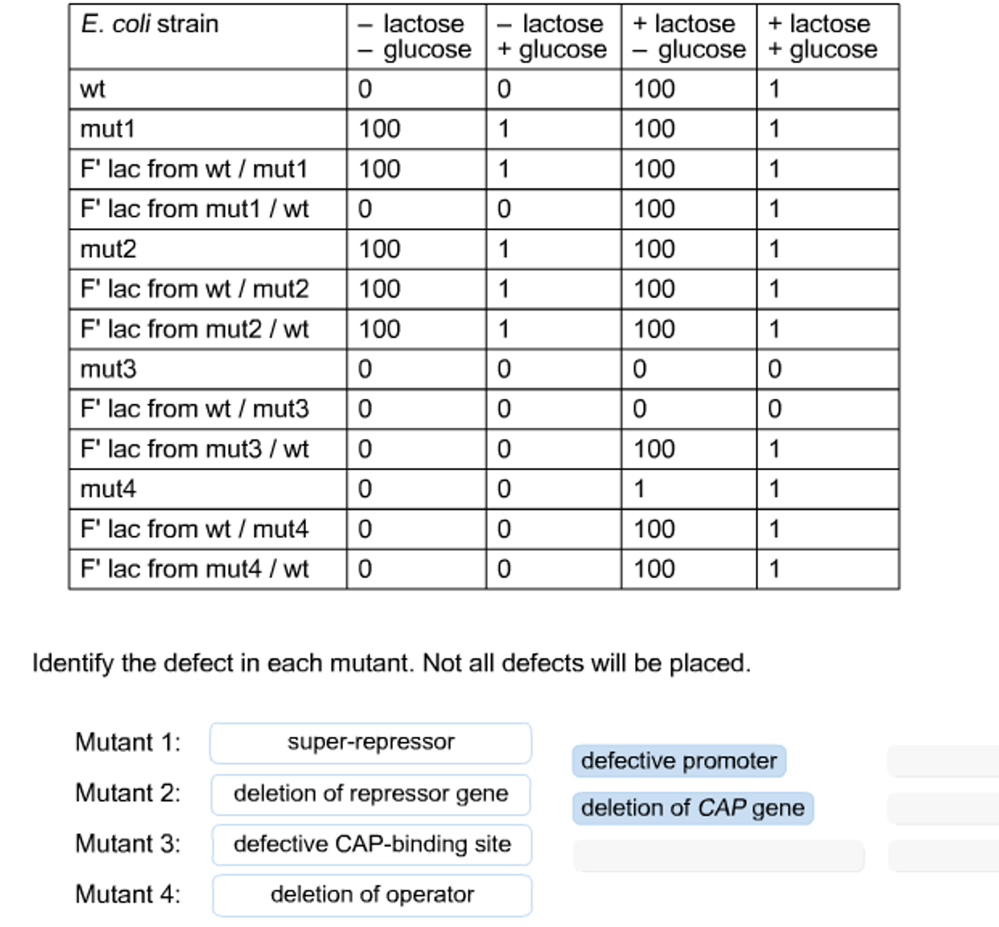 Suppose Jim isolated four E. coli mutants, mut1 to | Chegg.com