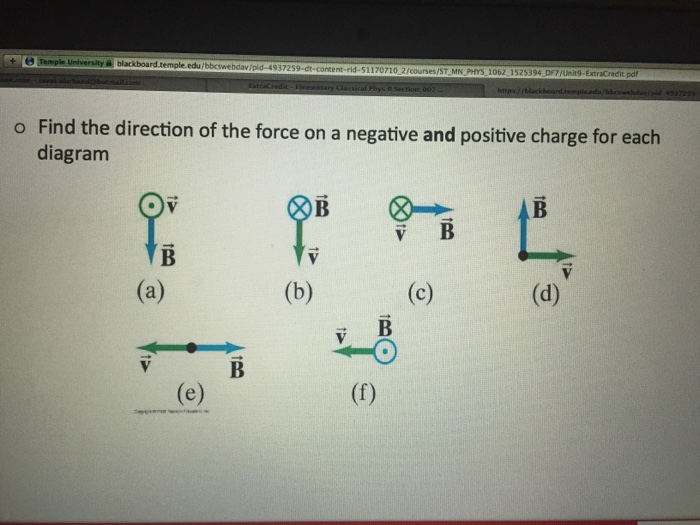 Solved Find the direction of the force on a negative and | Chegg.com