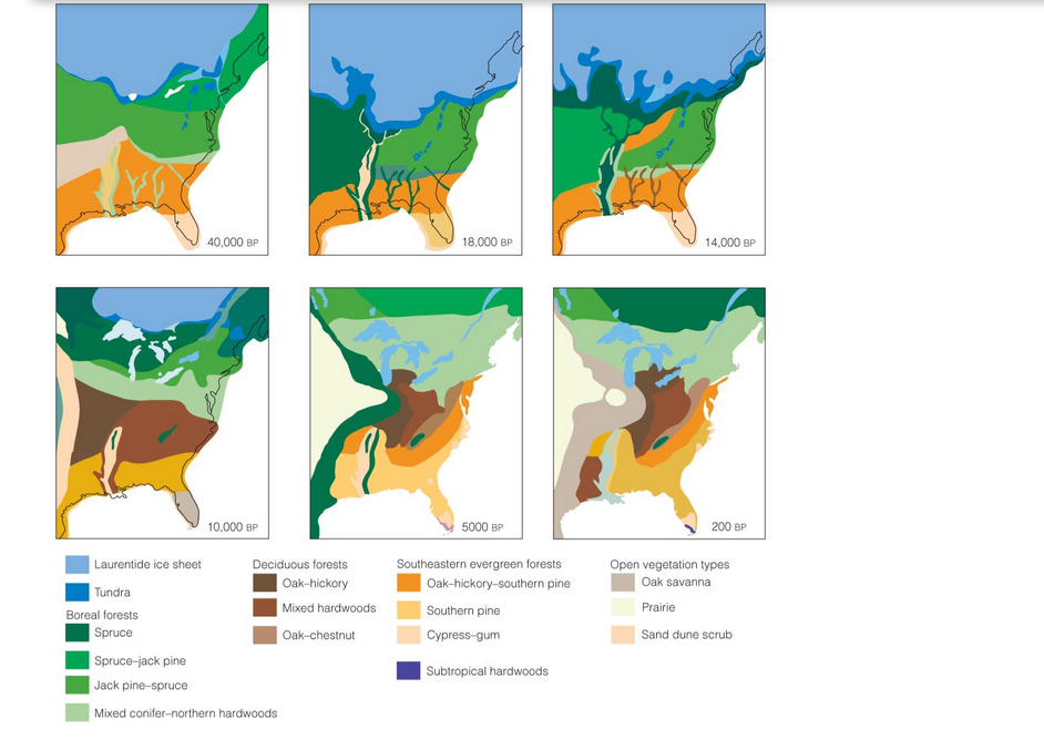 Solved 40,000 BP 18,000 BP 14.000 BP 5000 BP 10,000 BP 200 | Chegg.com