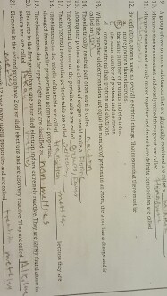 check answers | Chegg.com