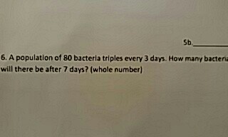 Solved 6. A population of 80 bacteria triples every 3 days. | Chegg.com