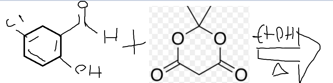 Solved In this reaction, you react Meldrum's acid with an | Chegg.com