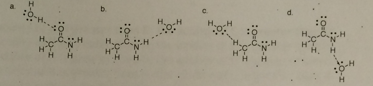 Solved Acetamide (shown below) is a good organic solvent. | Chegg.com