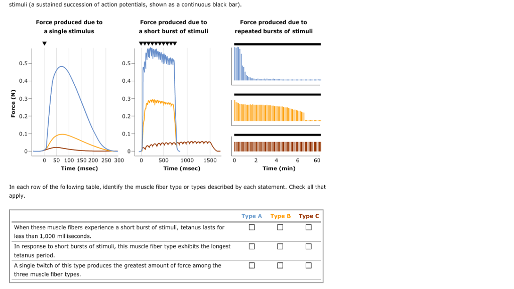 Solved Skeletal muscles usually consist of several distinct | Chegg.com