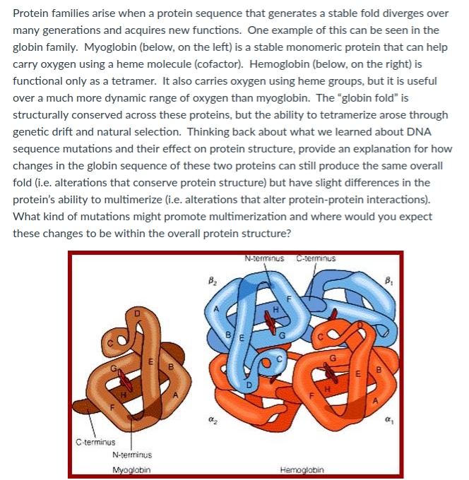 Solved Protein families arise when a protein sequence that | Chegg.com