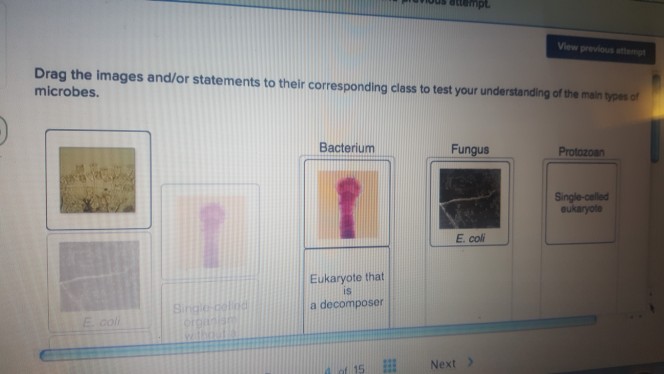 Solved Drag the images and/or statements to their | Chegg.com