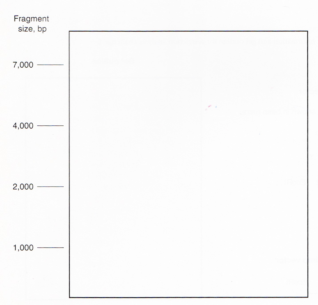 Solved The plasmid map below was derived from two single | Chegg.com