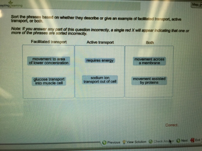 Solved Sort the phrases based on whether they describe or | Chegg.com