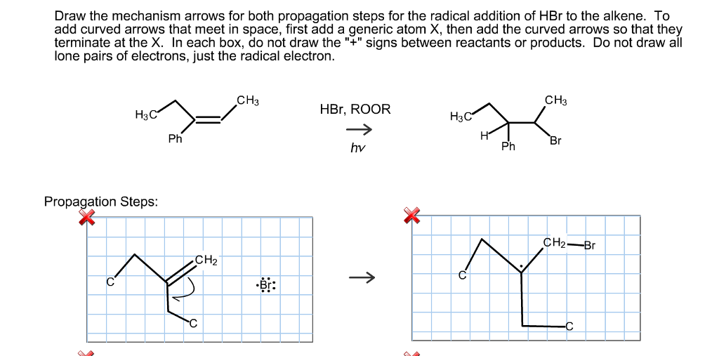 Solved Draw the mechanism arrows for both propagation steps | Chegg.com