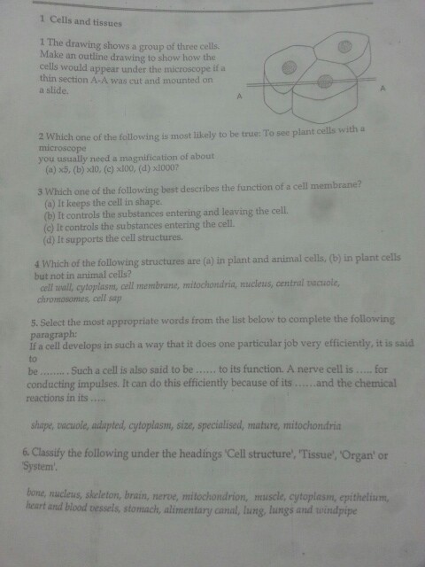 Solved 4 How substances get in and out of cells 1 Containers | Chegg.com