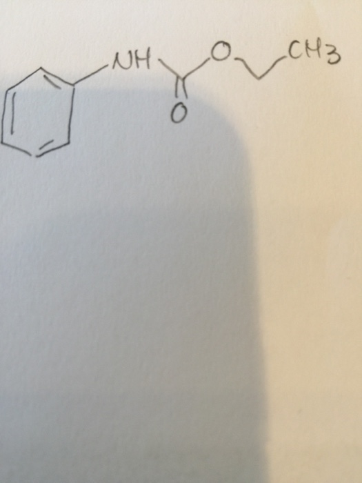 Solved What is the name of this structure? | Chegg.com