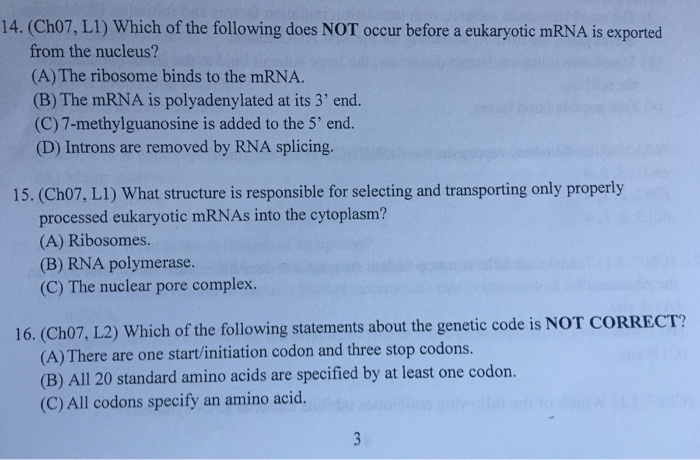 Solved Which of the following does NOT occur before a | Chegg.com