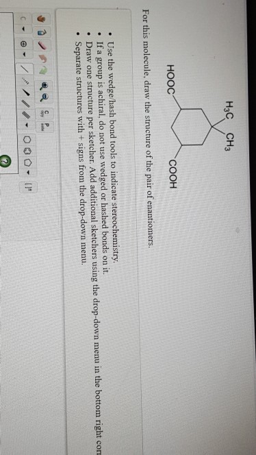 Solved H3C CH3 COOH For this molecule, draw the structure of | Chegg.com