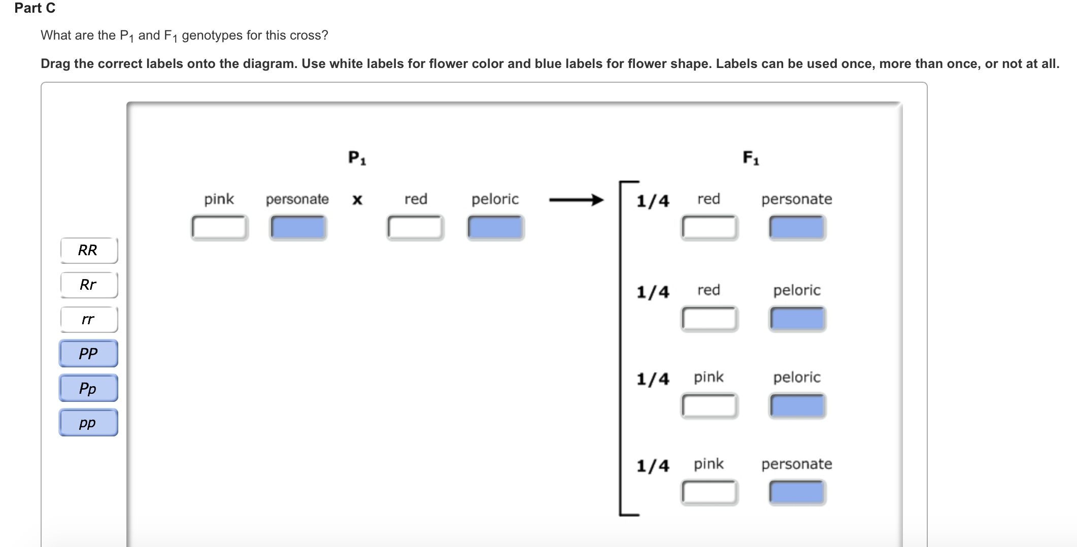 Solved Part A What are the P1 and F1 genotypes for this | Chegg.com